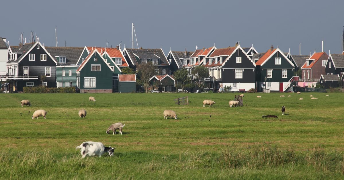 Activiteiten in Marken | Volendam Marken Express